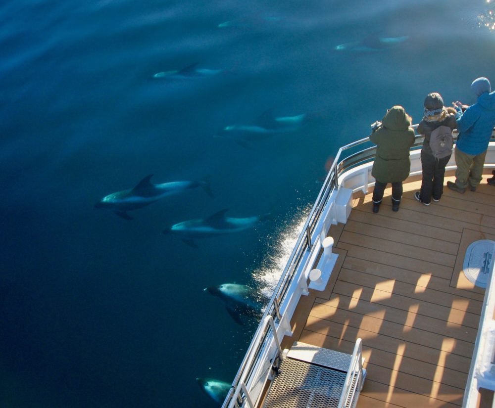 Brim Explorer - Scandinavian Design Group