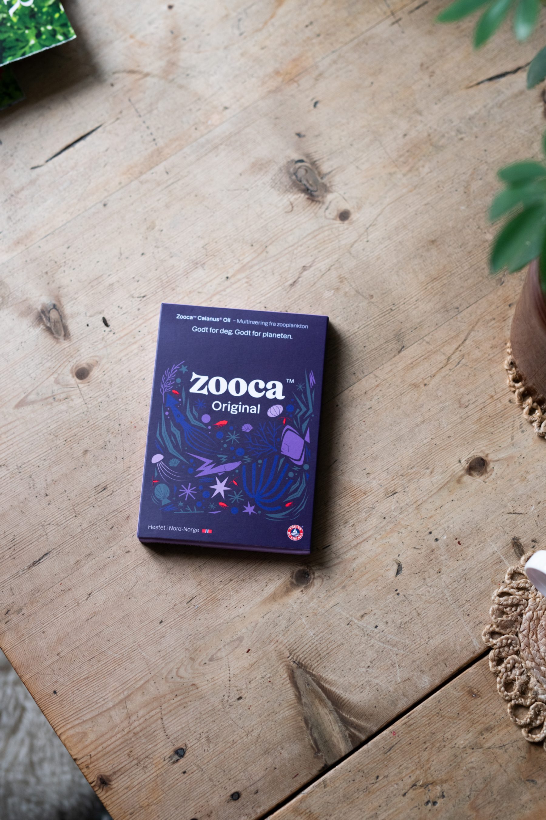 Zooca - Scandinavian Design Group